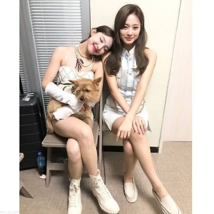 처음엔 뭐가 이상한지 모르는 사진 - 유머/이슈 - YULDO