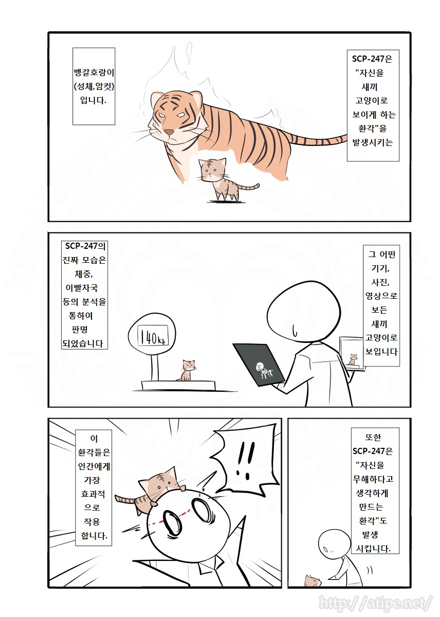 SCP-247 무해한 새끼 고양이 - 유머/이슈 - YULDO