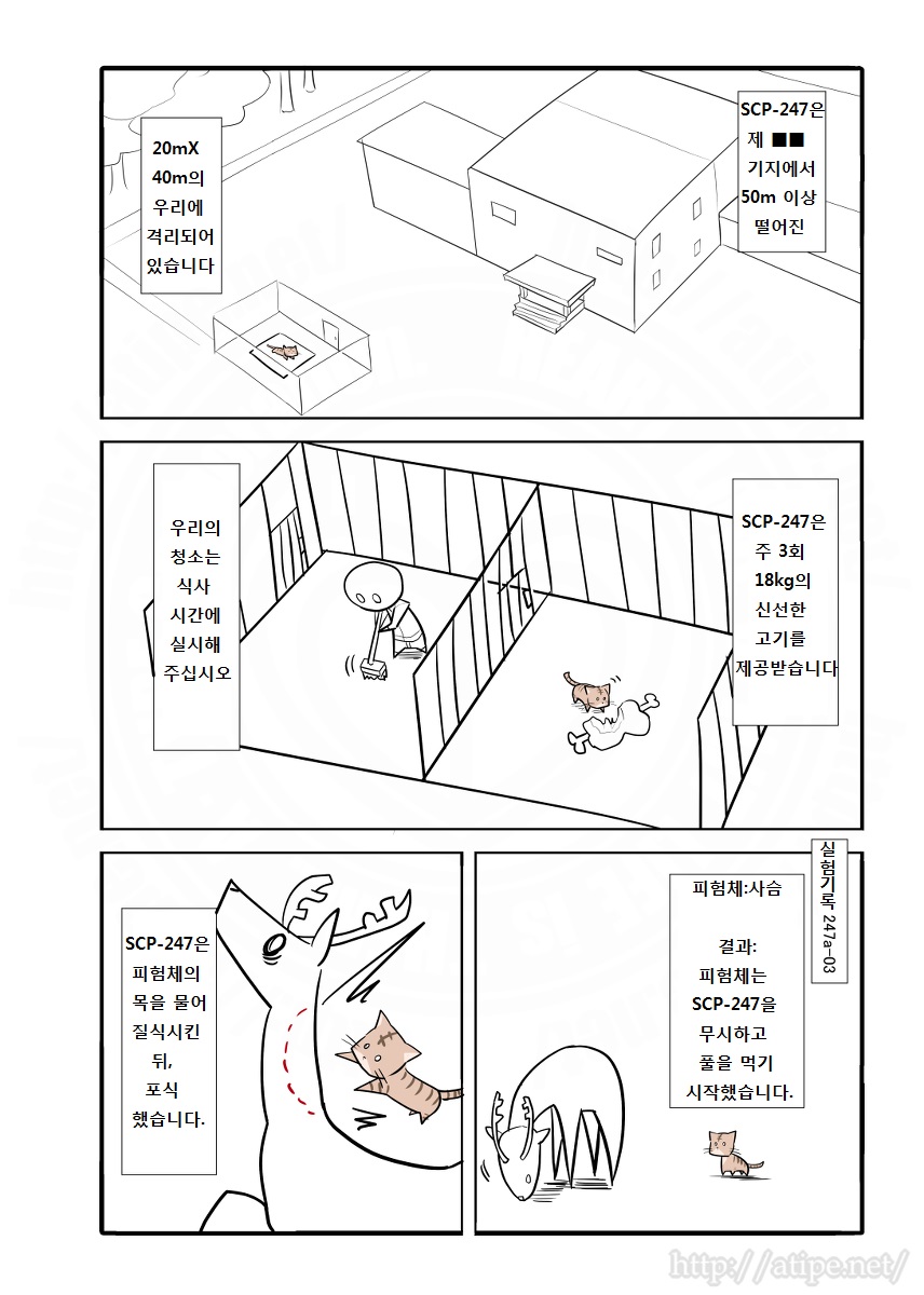 SCP-247 무해한 새끼 고양이 - 유머/이슈 - YULDO