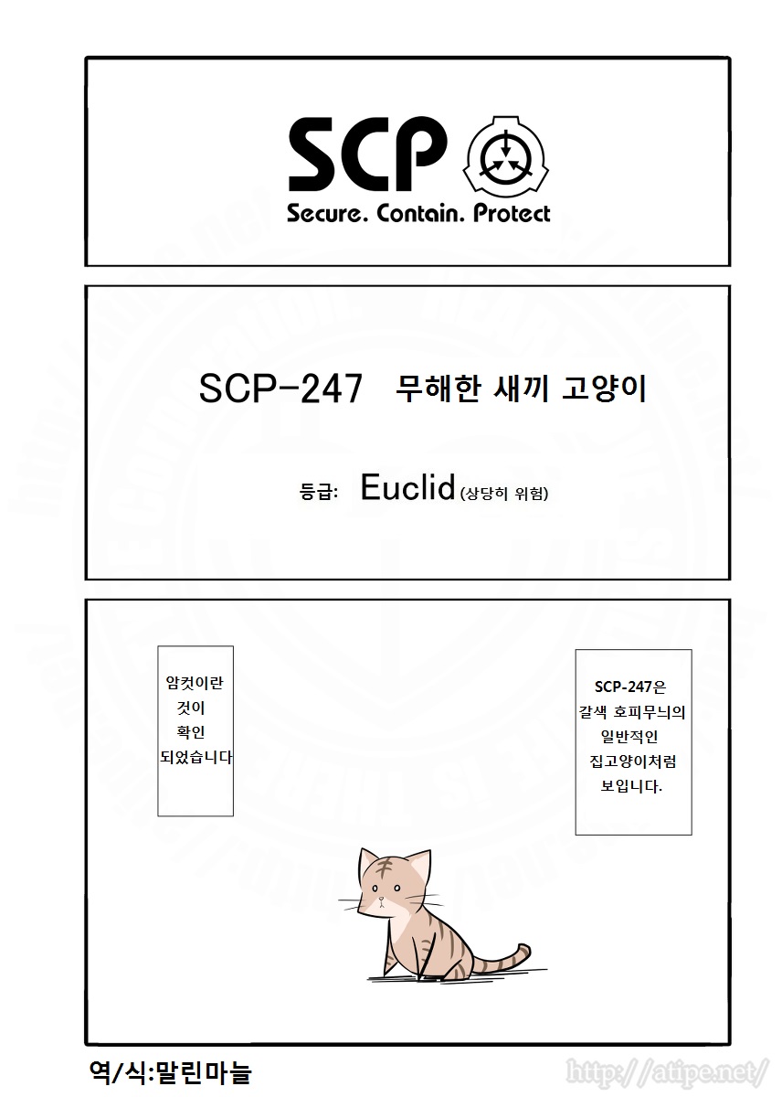 SCP-247 무해한 새끼 고양이 - 유머/이슈 - YULDO