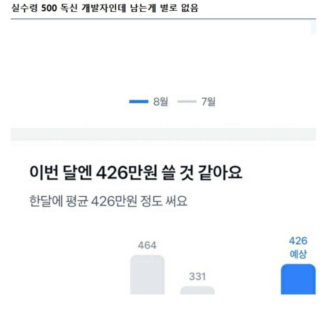독신이고 실수령 월 500 버는데 남는게 별로 없는게 고민 - 유머/이슈 - YULDO