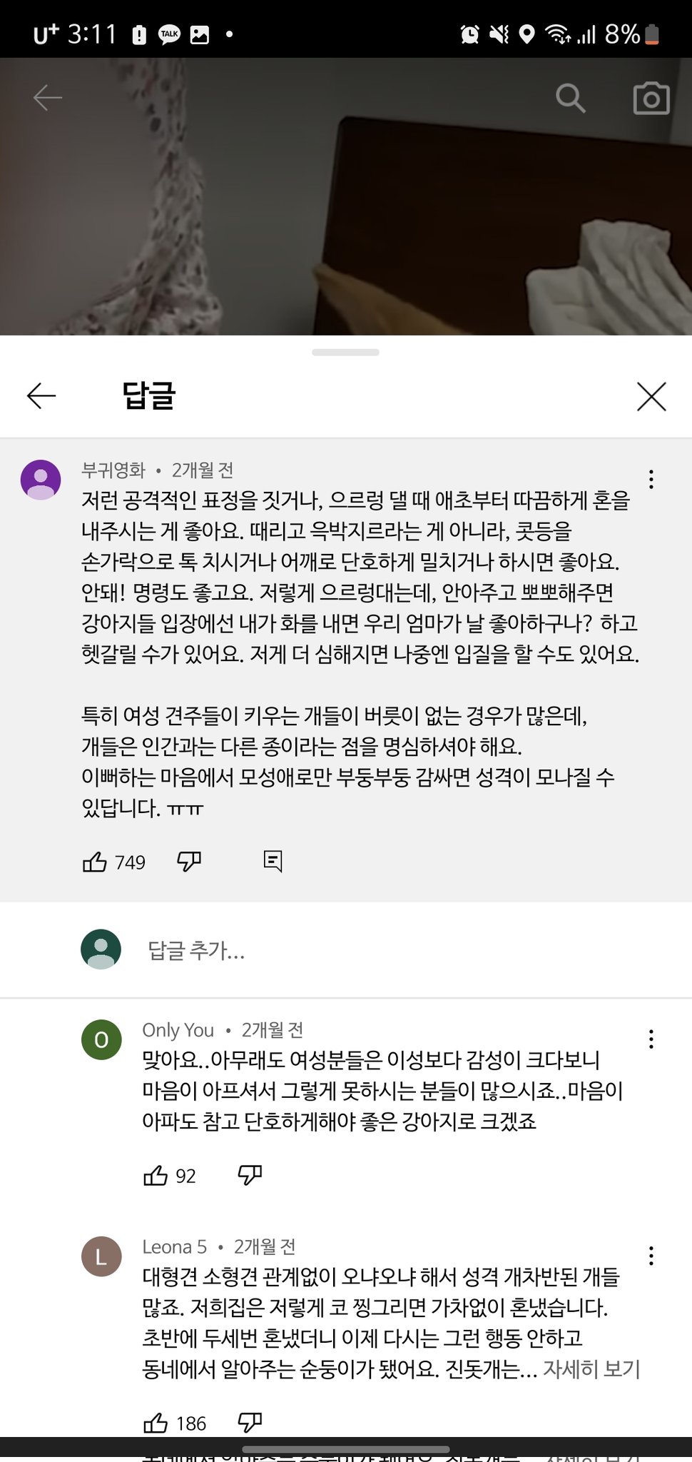 여자 손에 부둥부둥 큰 것들이 아는 척은...twt - 유머/이슈 - YULDO