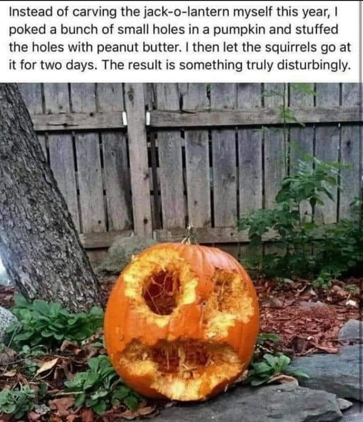 [ 할로윈 꿀팁 ] 좀비 잭오랜턴 손 안대고 만들기 - 유머/이슈 - YULDO