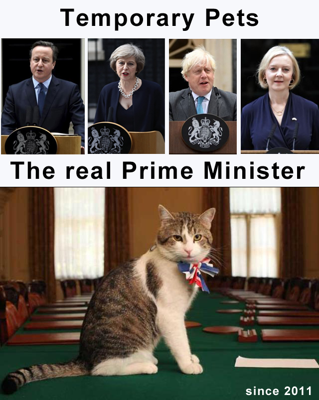 영국의 진짜 수상 - 유머/이슈 - YULDO