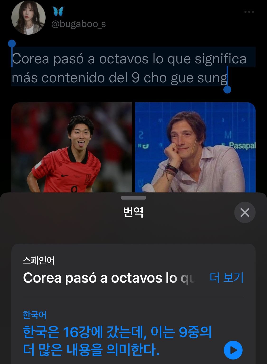 외국인들이 말하는 한국이 16강에 진출해야하는 이유..twt - 유머/이슈 - YULDO