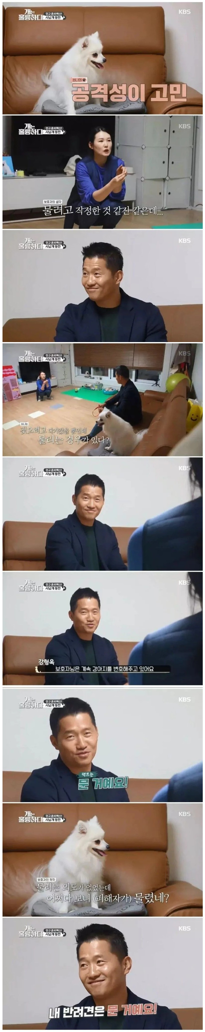 "우리개는 안물어요" 강형욱의 대답 - 유머/이슈 - YULDO