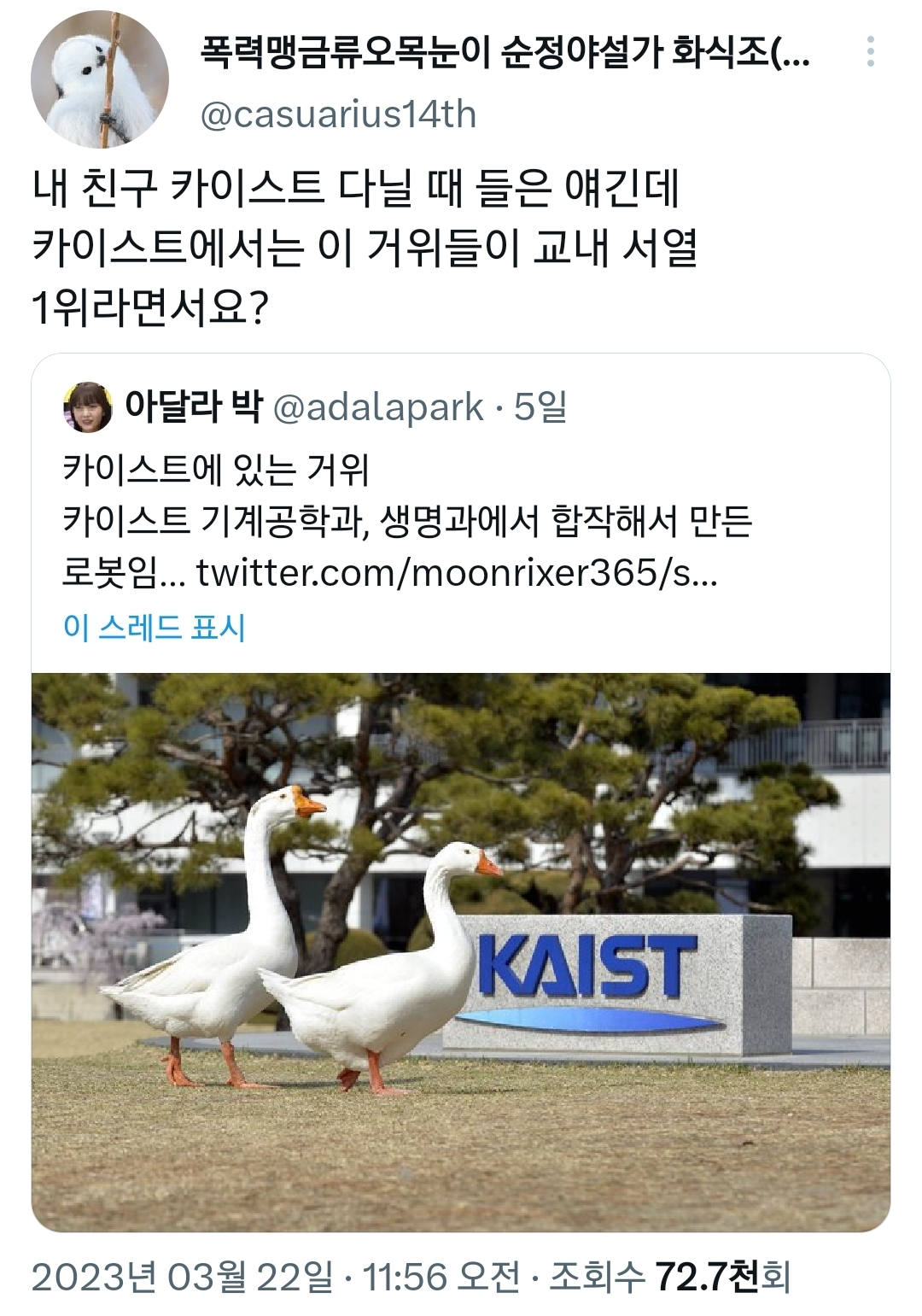 카이스트 서열 1순위 알고 있음 유머 이슈 Yuldo