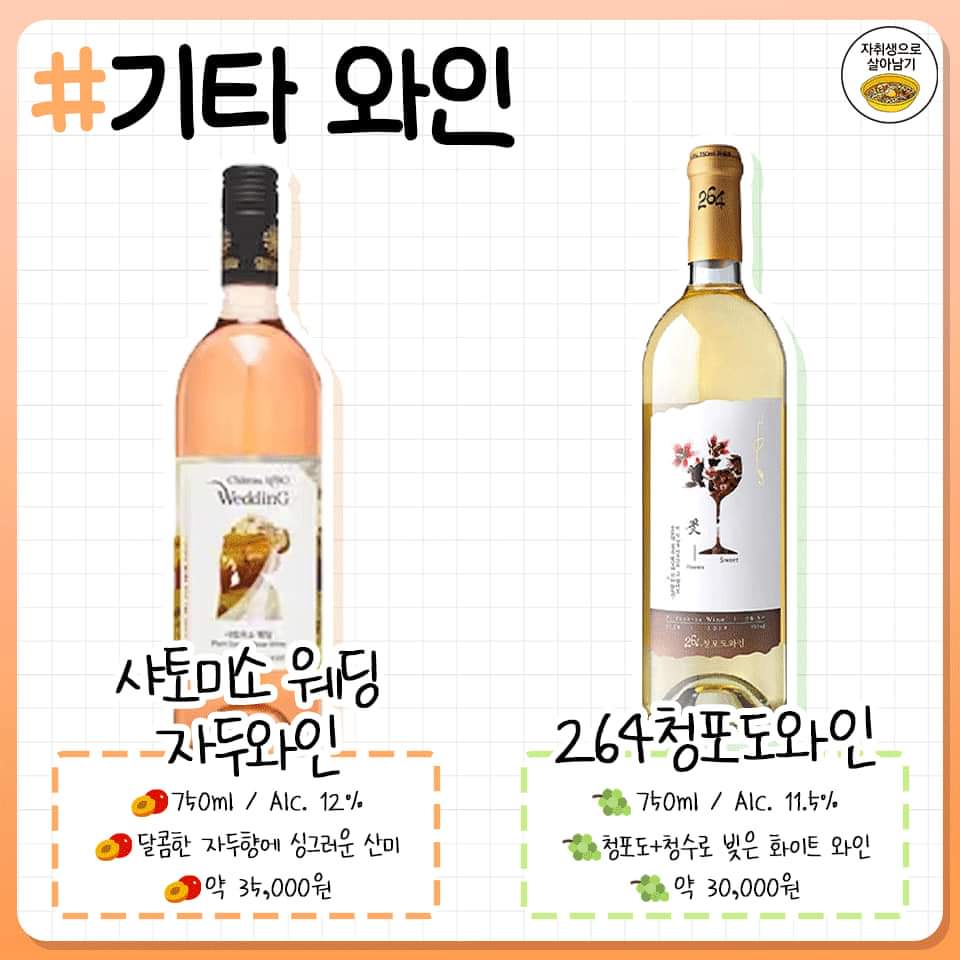 여름과일 와인 - 유머/이슈 - YULDO