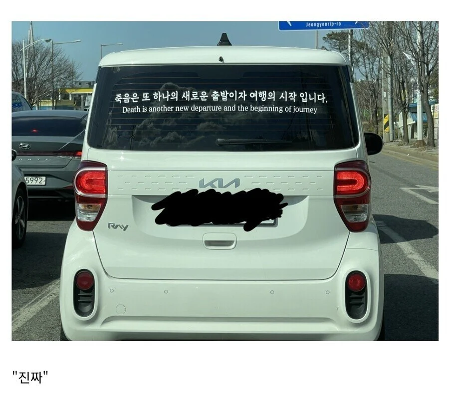 운전자 가짜광기 vs 진짜광기.twt - 유머/이슈 - YULDO