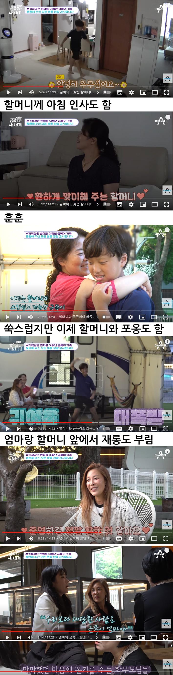 180도 달라진 역대급 금쪽이 솔루션 후기 - 유머/이슈 - YULDO