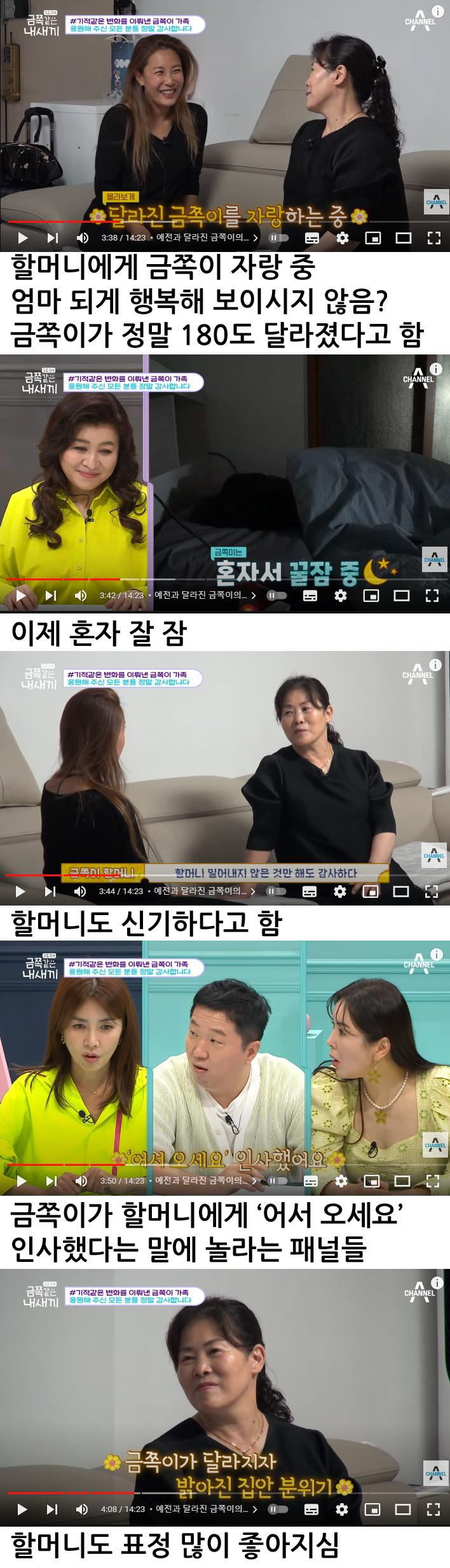 180도 달라진 역대급 금쪽이 솔루션 후기 - 유머/이슈 - YULDO