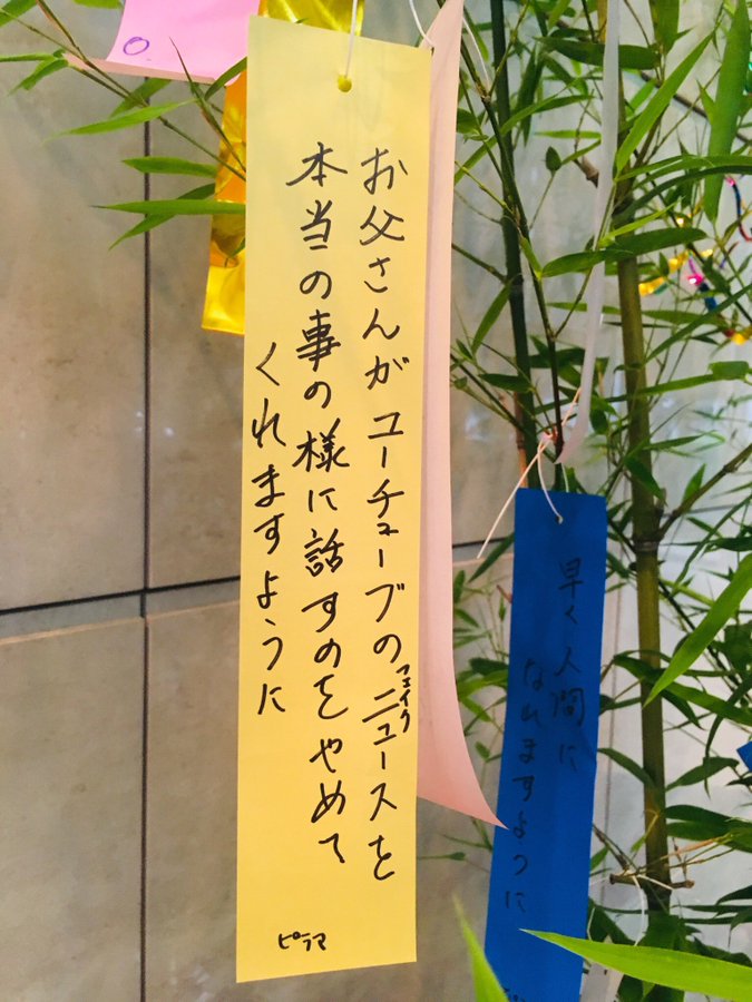 일본 칠석 소원 종이에 부모님을 생각하며 적은 소원 - 유머/이슈 - YULDO