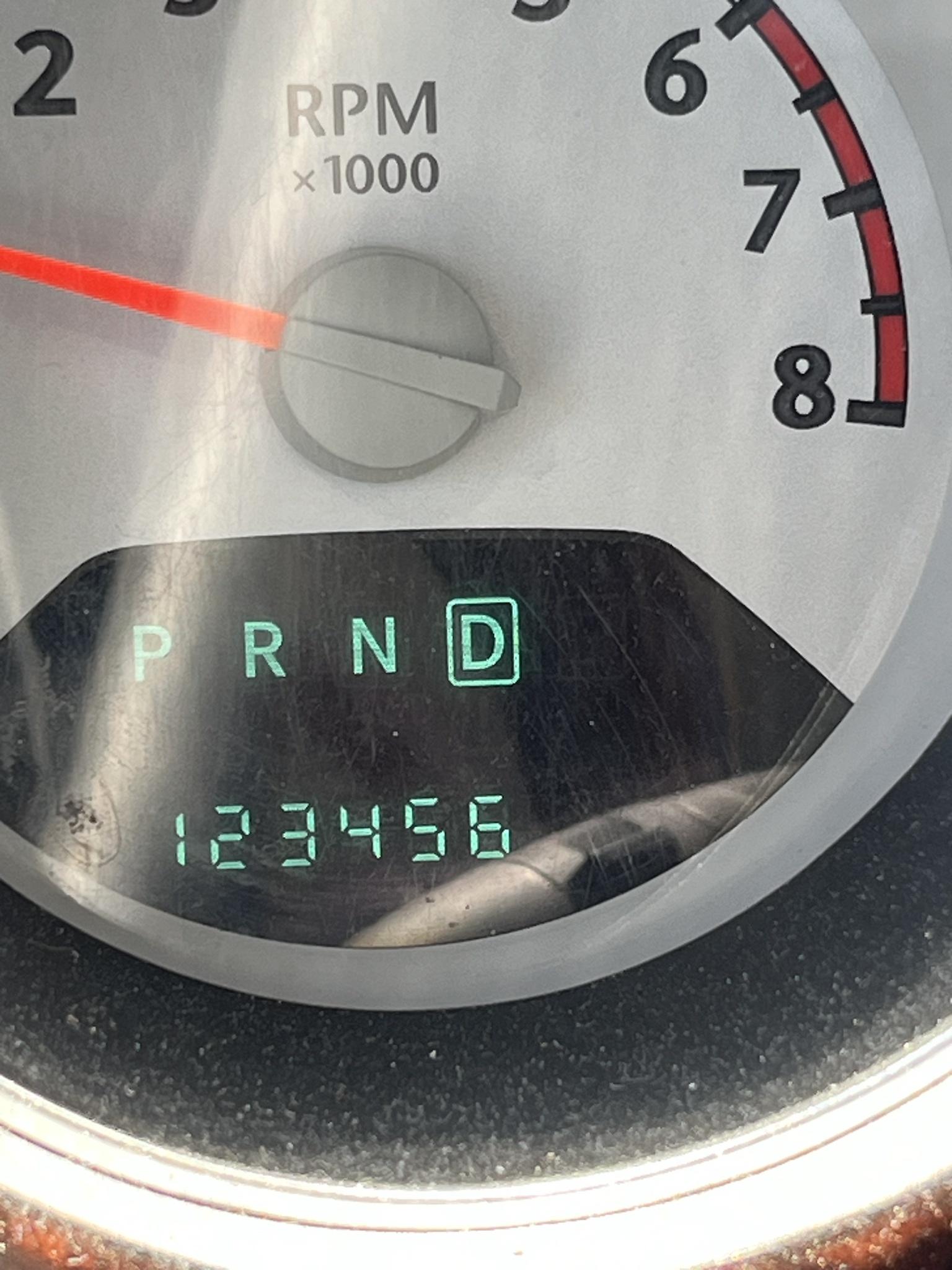 몇주를 기다려서 찍은 사진 - 유머/이슈 - YULDO