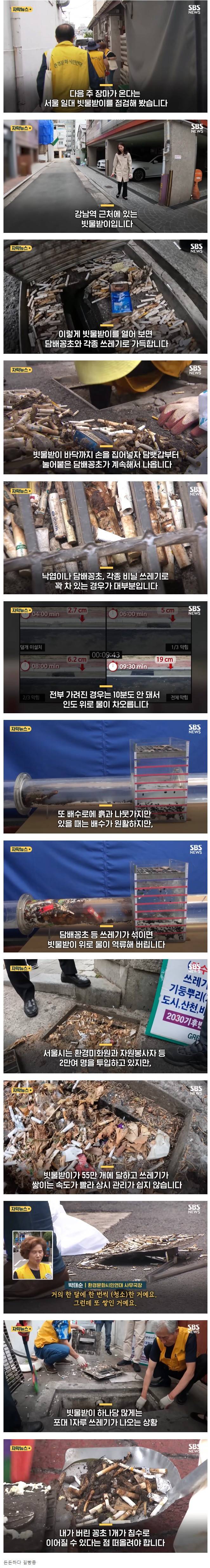 장마 직전 강남 하수구 풍경 - 유머/이슈 - YULDO