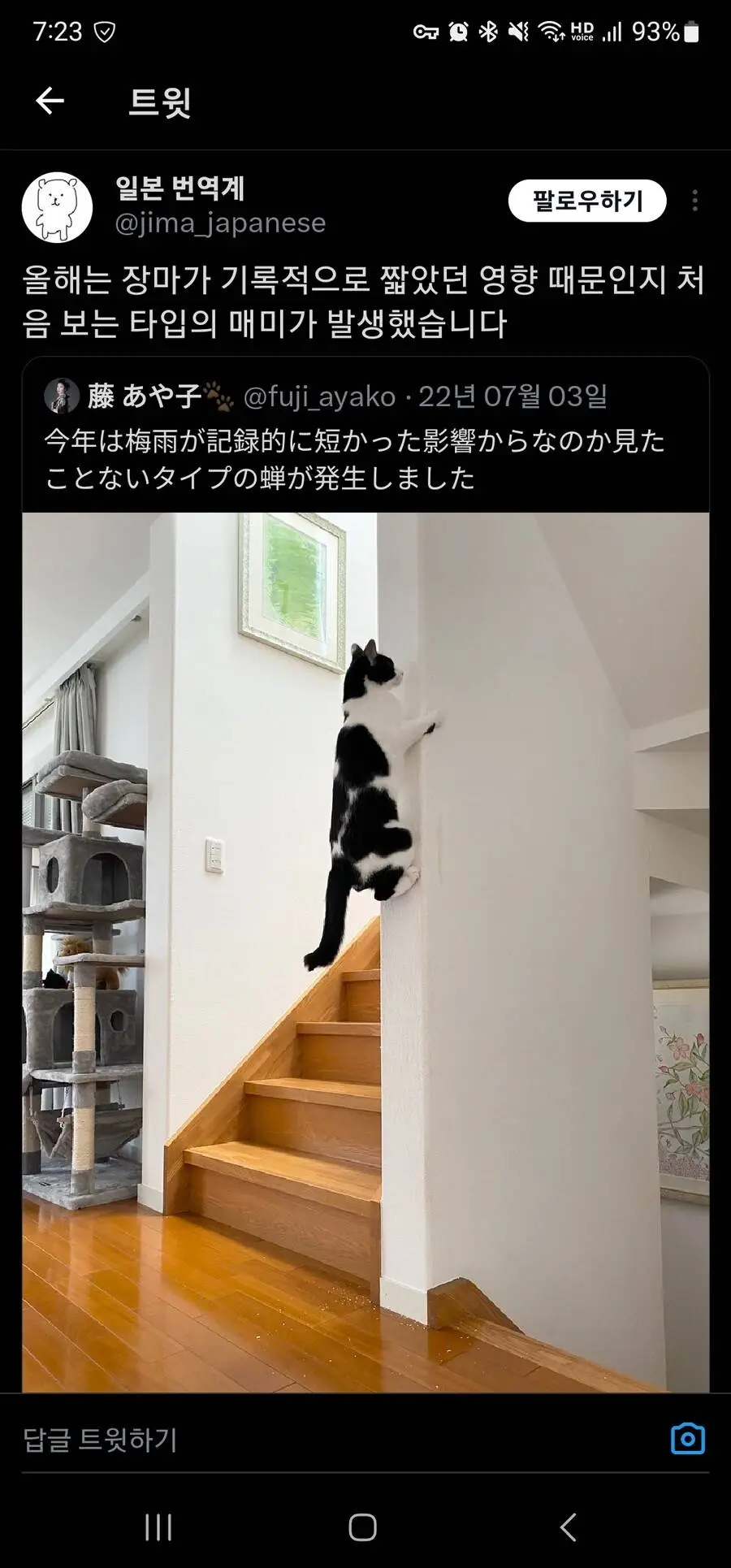 일본에서 발견된 괴생명체 - 유머/이슈 - YULDO