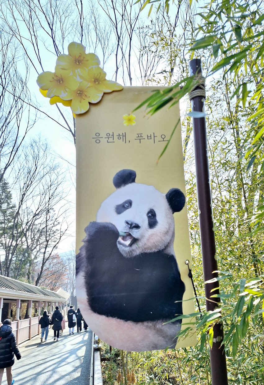 너를 만난건 기적이야 고마워 푸바오 유머이슈 Yuldo 