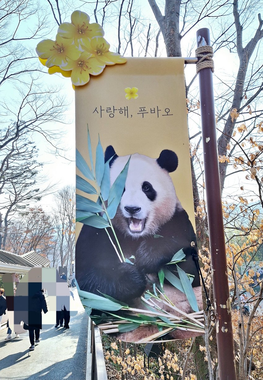 너를 만난건 기적이야 고마워 푸바오 유머이슈 Yuldo