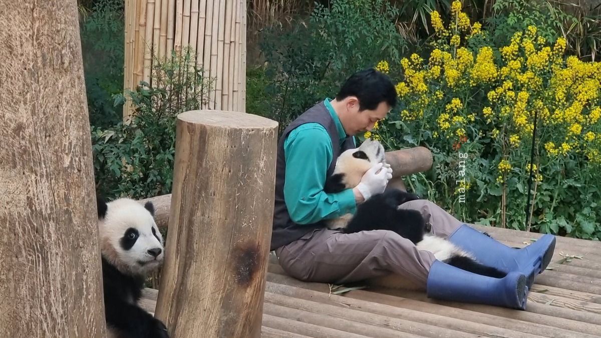 공공장소에서 둘만의 세상에 빠진 커플 직관하는 내 표정.jpg (feat.루이 ) - 유머/이슈 - YULDO