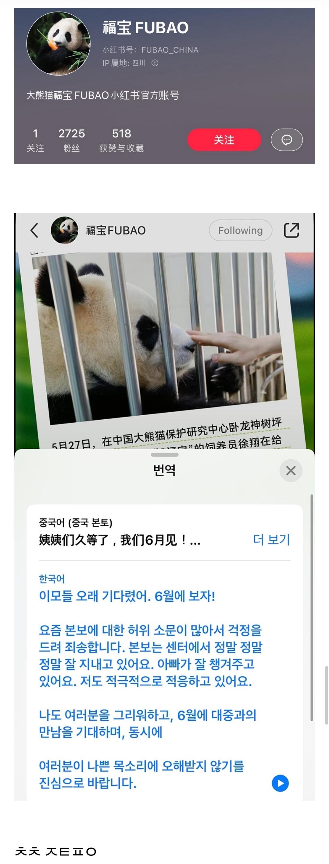 푸바오 샤홍슈(중국판ㅇㅅㅌ) 업데이트 - 유머/이슈 - YULDO