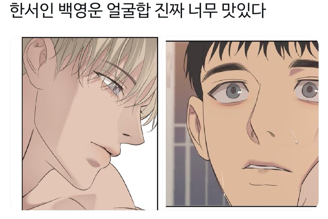 얘가 수 같지만 사실 공인 핫한 비엘 웹툰.jpg (feat.백라이트) - 유머/이슈 - YULDO
