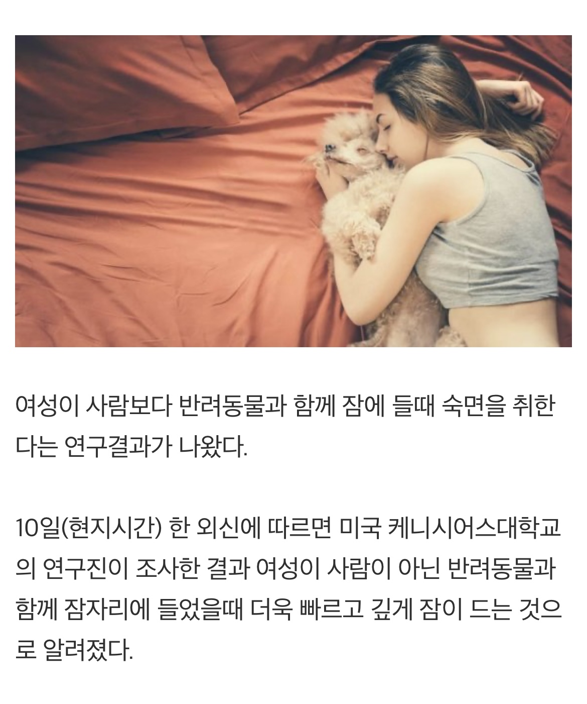 "여성, 사람보다 강아지와 자야 '꿀잠' 잔다" - 유머/이슈 - YULDO