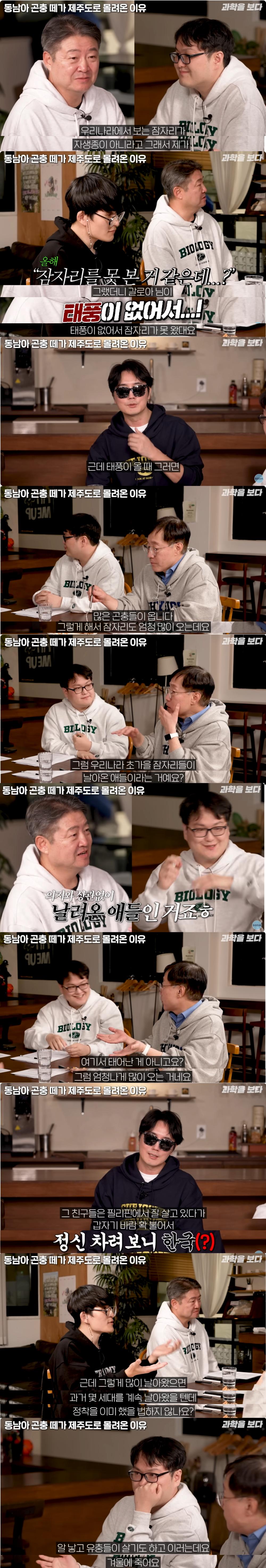 우리나라에서 보이는 잠자리들의 충격적인 정체 - 유머/이슈 - YULDO