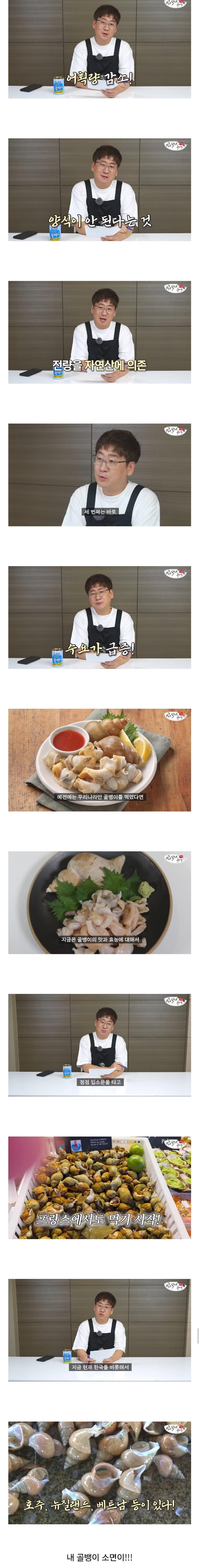 비상비상 세계화 흐름에 반대한다 - 유머/이슈 - YULDO