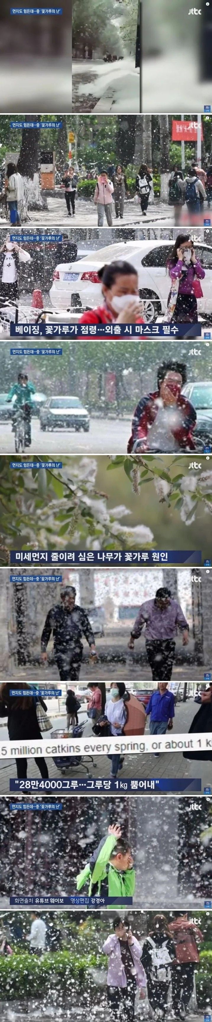 미세먼지 대책으로 나무 심은 중국 근황 - 유머/이슈 - YULDO