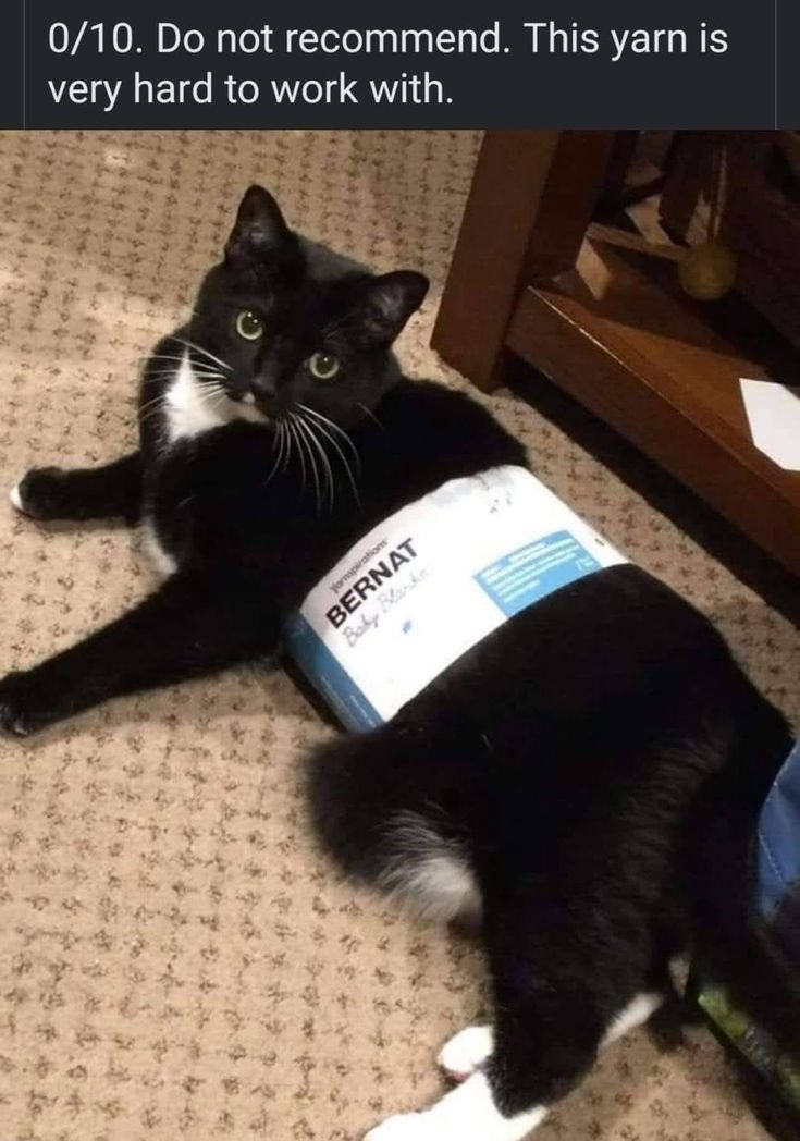 이 실은 다루기 무척 까다로워보여요 - 유머/이슈 - YULDO