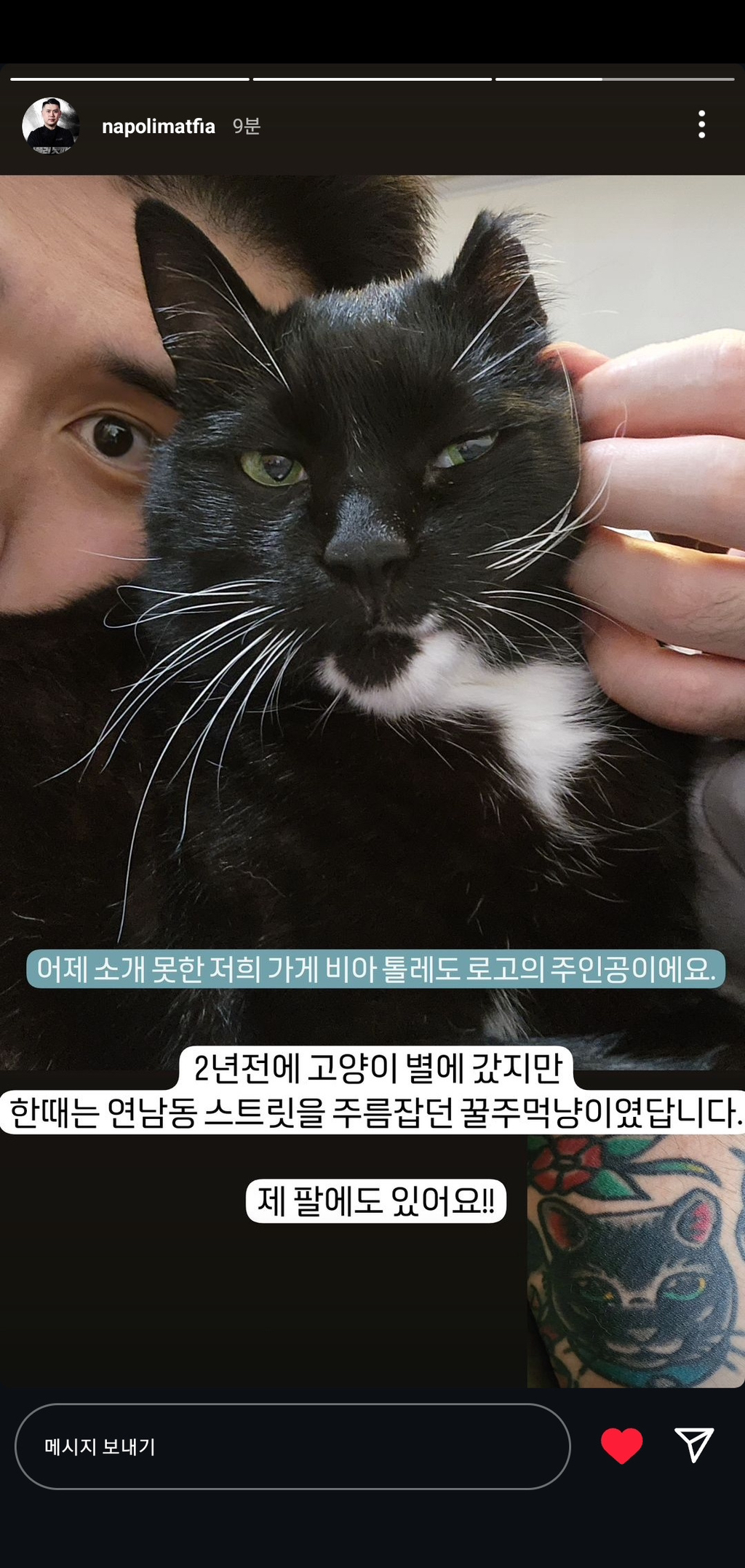 인스스로 냥이 자랑하는 나폴리맛피아 권성준 - 유머/이슈 - YULDO