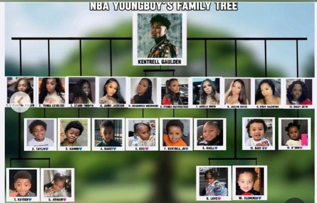 펌] 99년생인데 13명의 자녀를 둔 외국 래퍼 영보이 - 유머/이슈 - YULDO