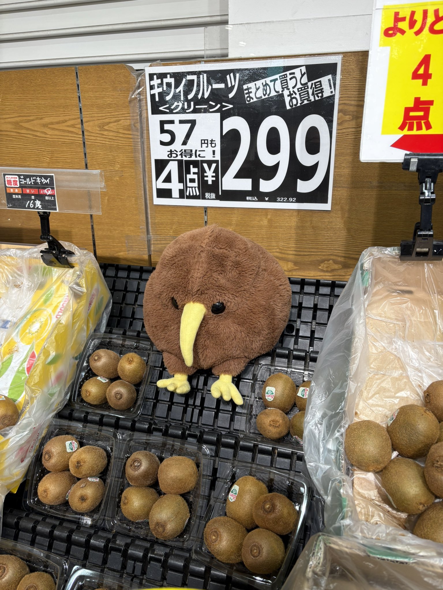 슈퍼에서 아이들을 바라보는 키위새 - 유머/이슈 - YULDO